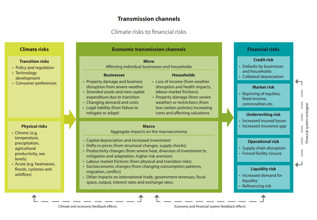 Physical and Transition Risks | CEF Explains