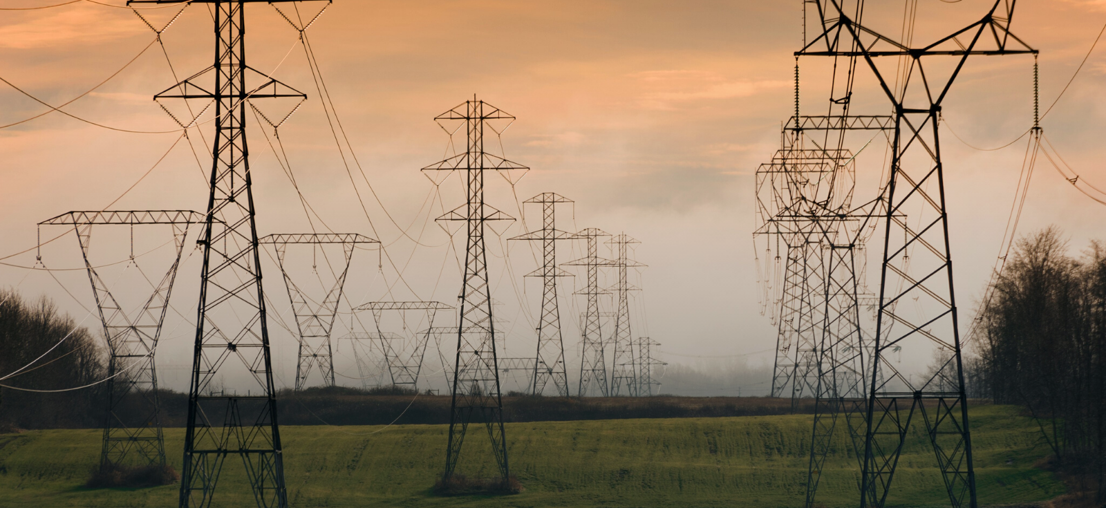 Council on Energy, Environment and Water | Environment, Climate and ...