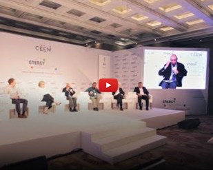 Council on Energy, Environment and Water | Environment, Climate and ...