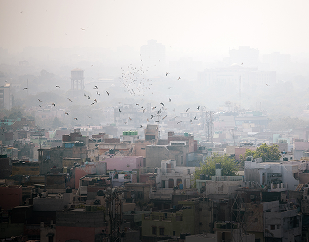 Council on Energy, Environment and Water | Environment, Climate and ...