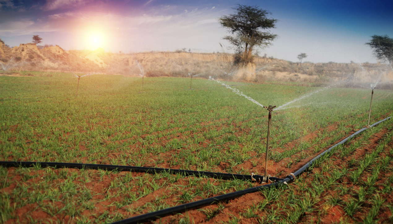 Tarun Bharat Sangh Case Study | Johad Water Harvesting | CEEW