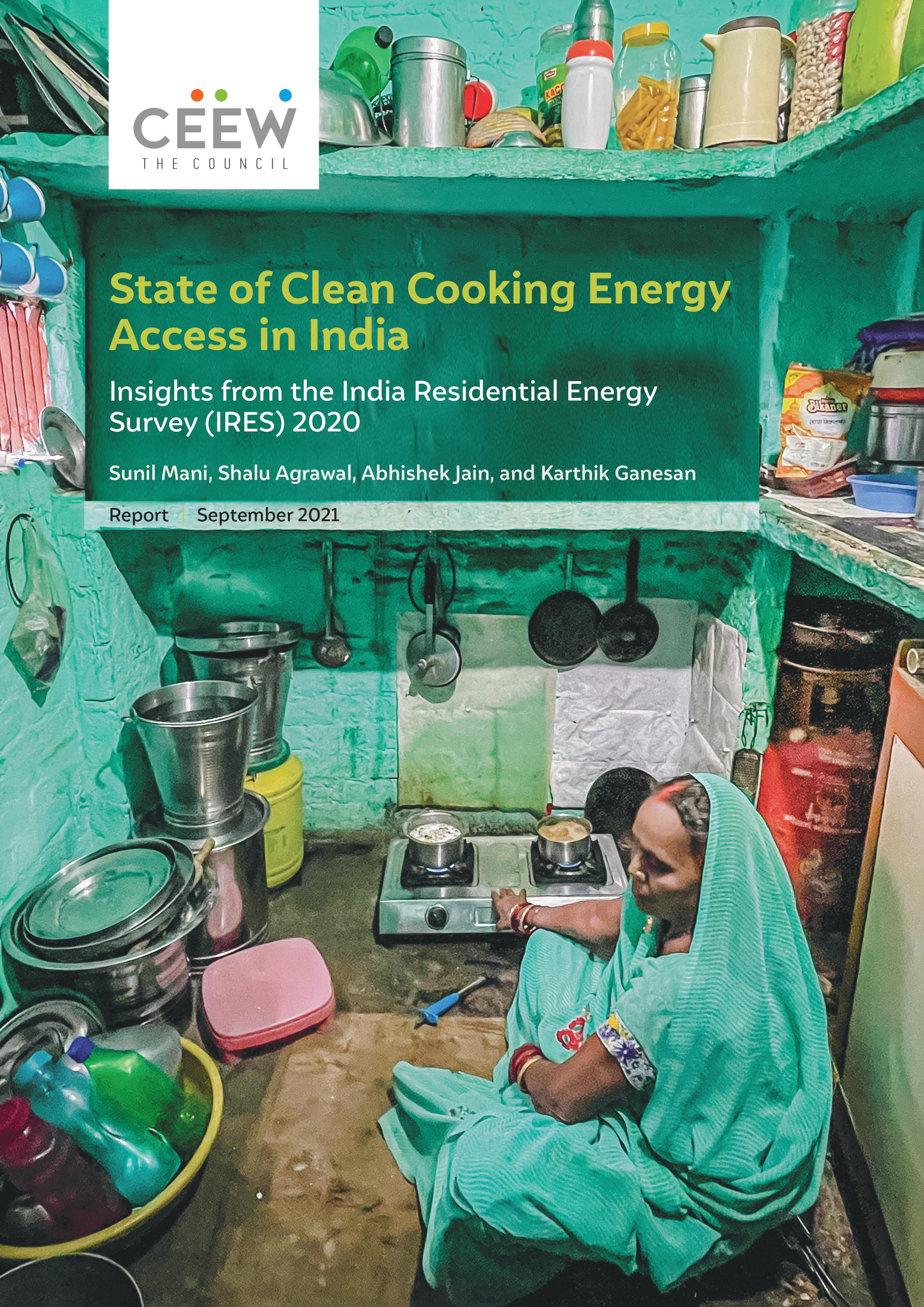 What is the State of Clean Cooking Fuel & Energy Access in India? IRES