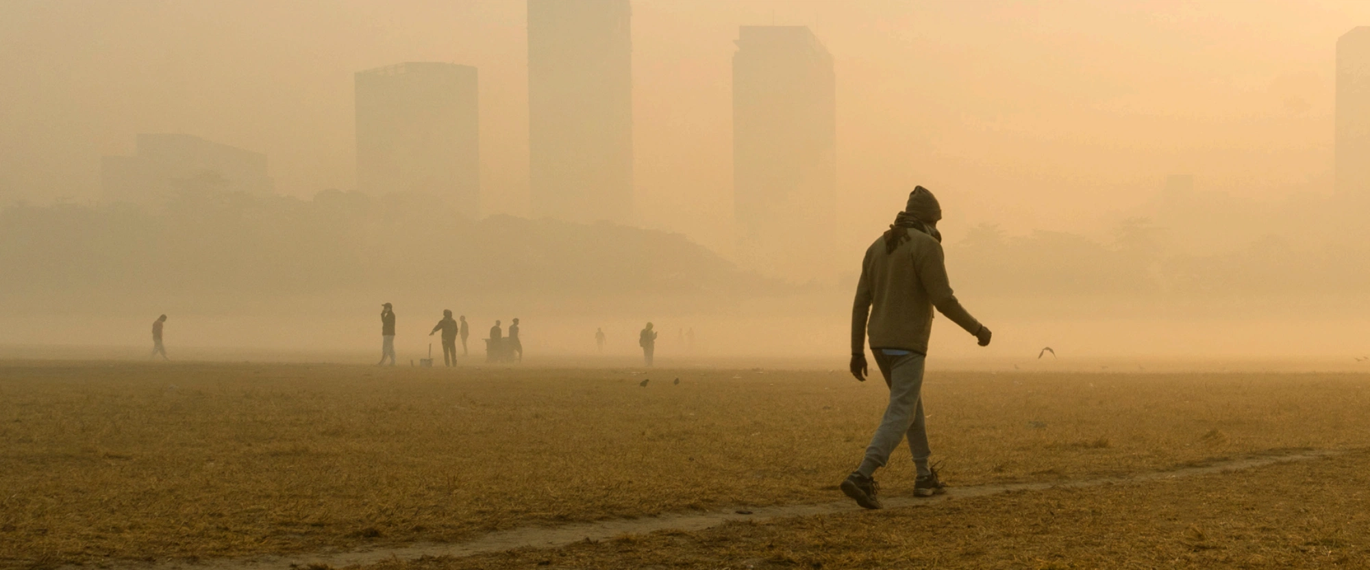 CEEW | Public Policy Think Tank in India | Council on Energy ...