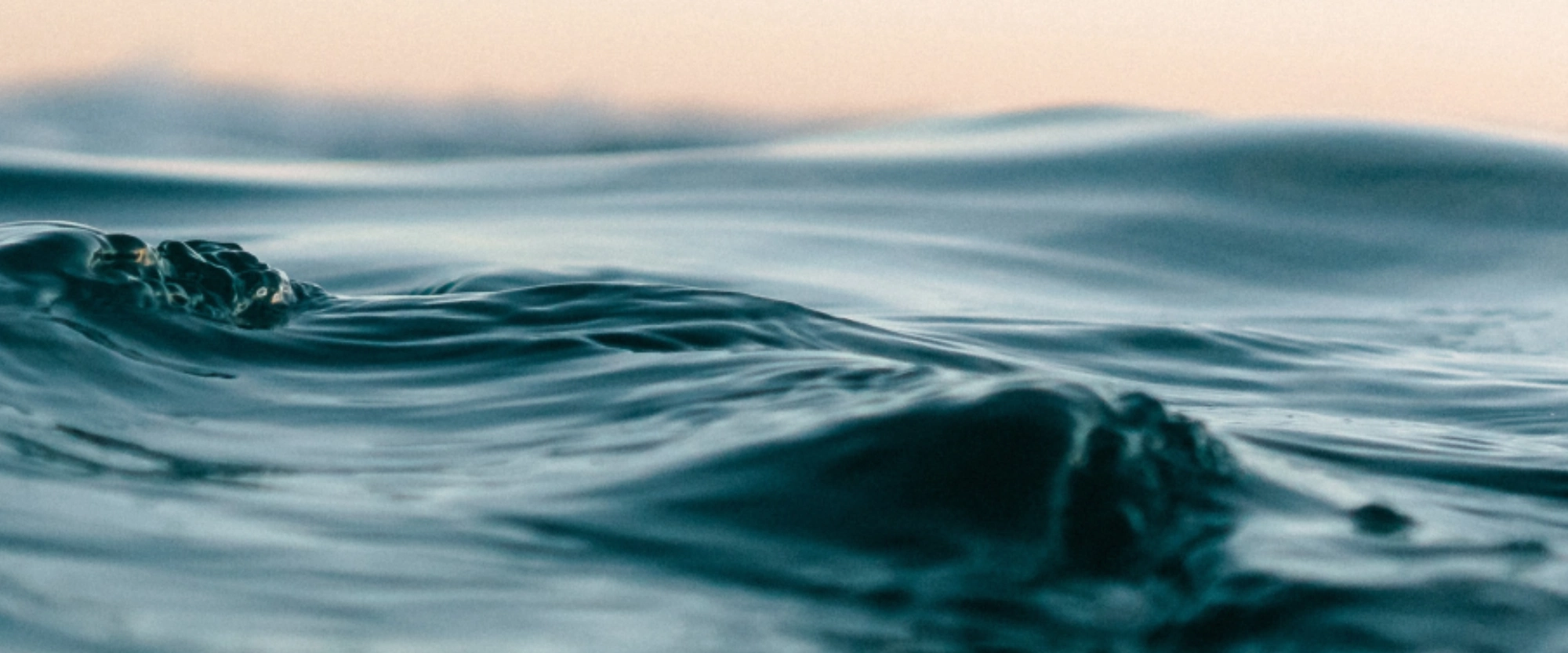 CEEW | Public Policy Think Tank in India | Council on Energy ...