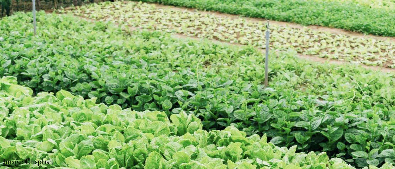 What are Biodynamic Agriculture & Farming Practices in India? CEEW