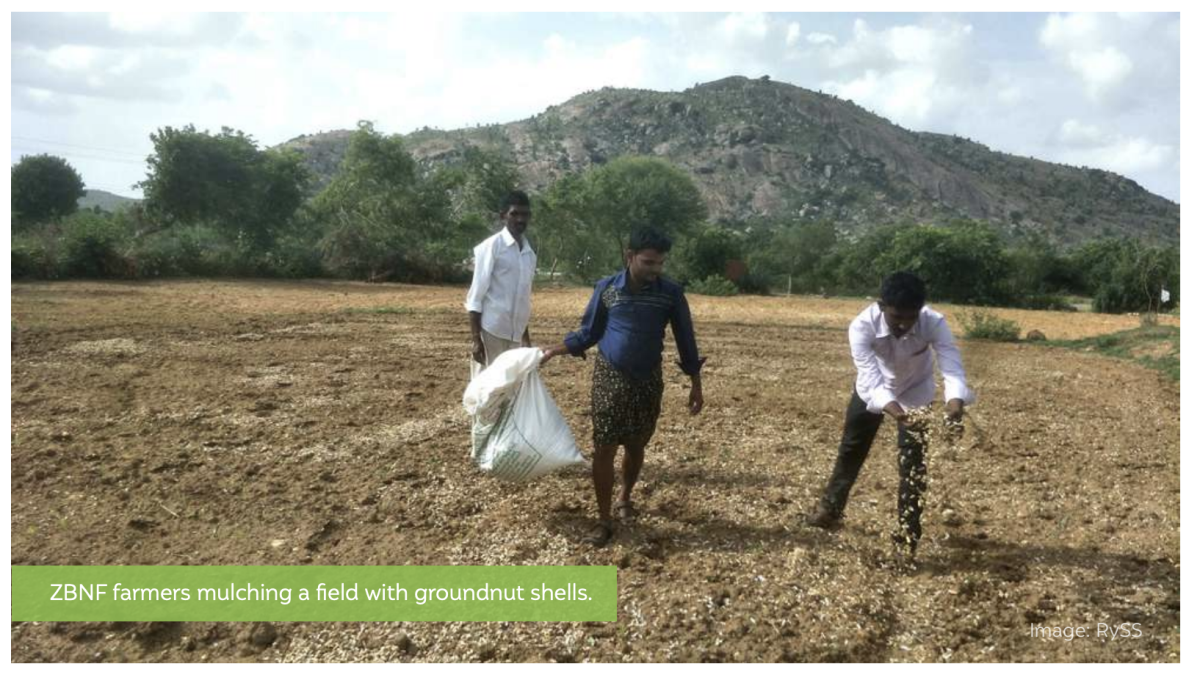 Can Zero Budget Natural Farming Save Fertiliser Subsidies in India?