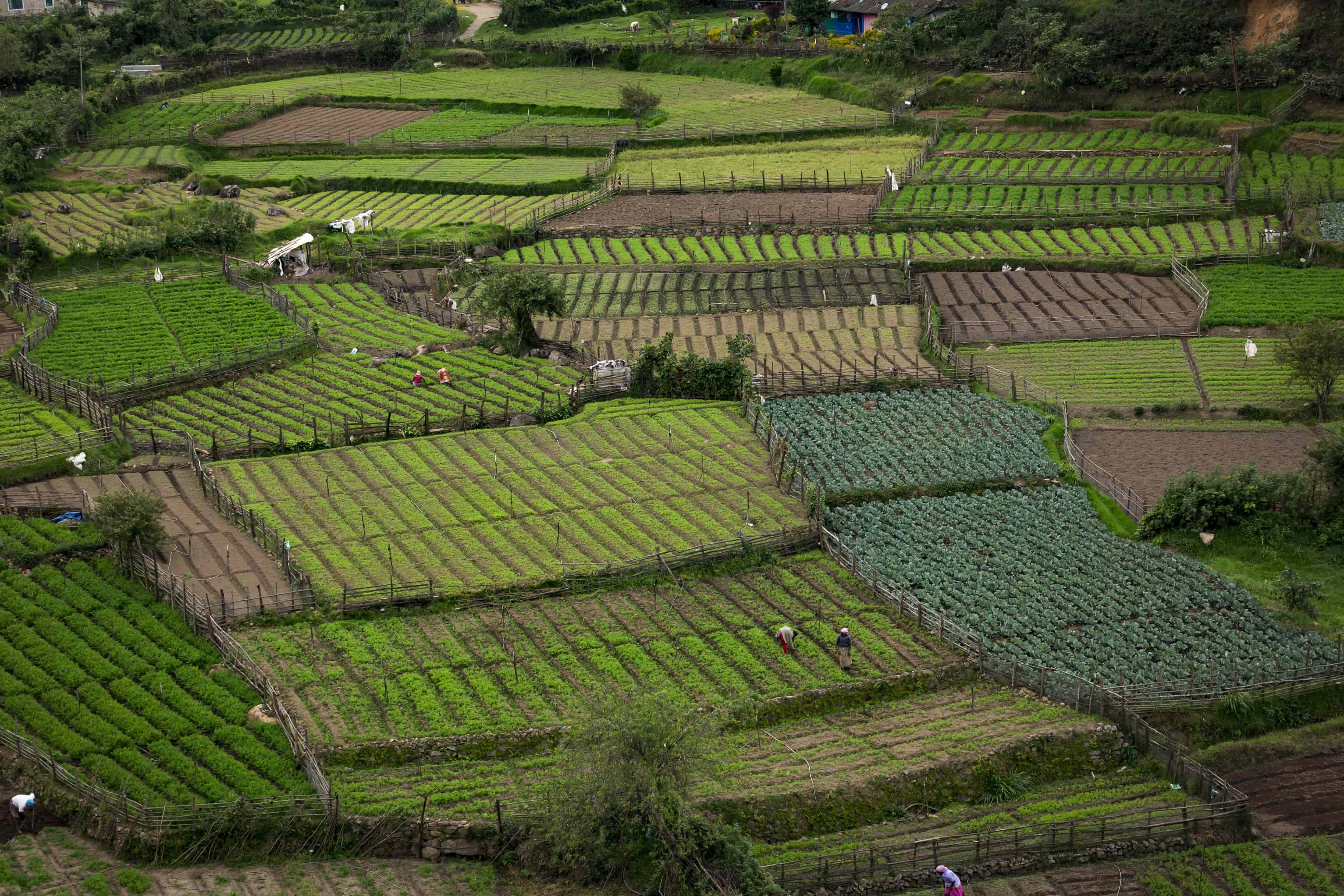 4 Ways India can Reduce CO2 & GHG Emissions with Land-modelling