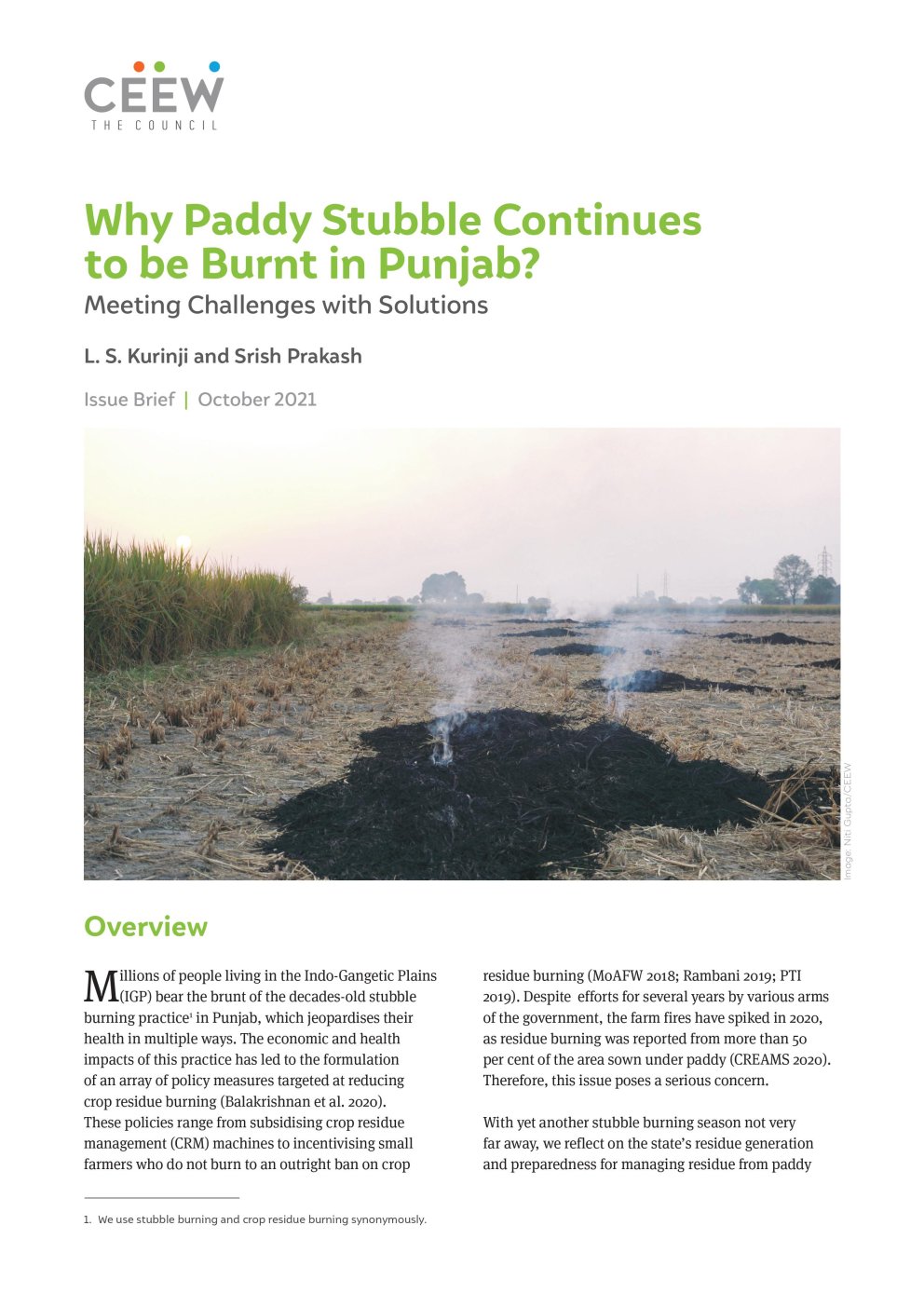 Why Does Paddy Burning Continue in Punjab? Stubble Burning Causes