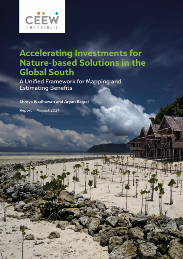 How can Nature-based Solutions Investments Tackle Global South Climate ...